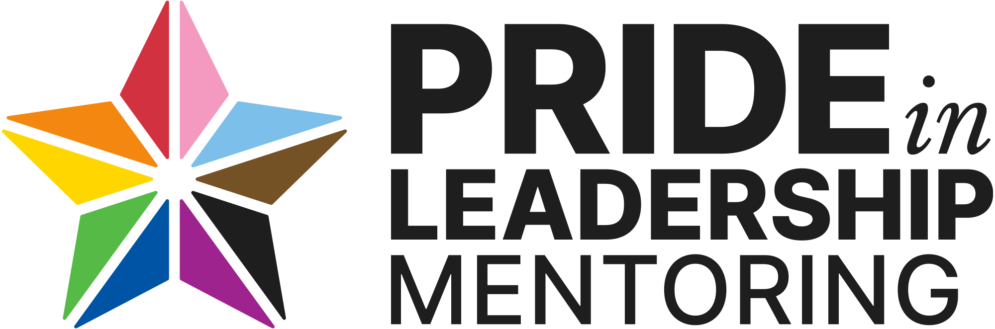 Pride in Leadership Mentoring Launch - Pride In Leadership